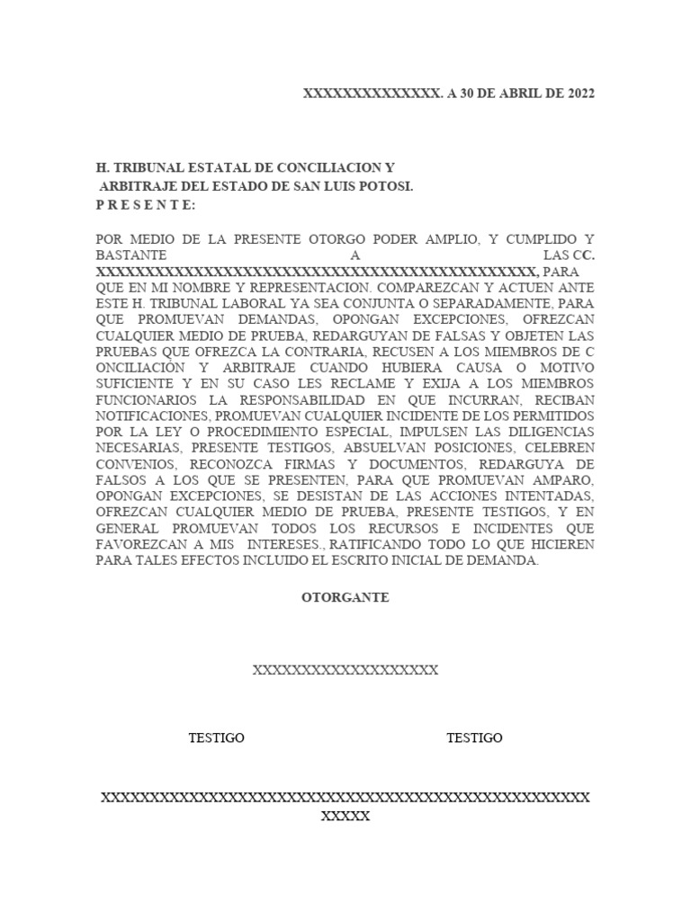 CARTA PODER BERE (1) | PDF