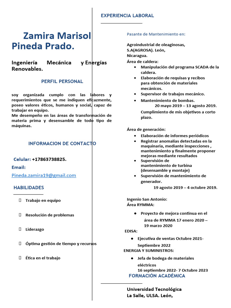 CV Zamira Marisol Pineda | PDF