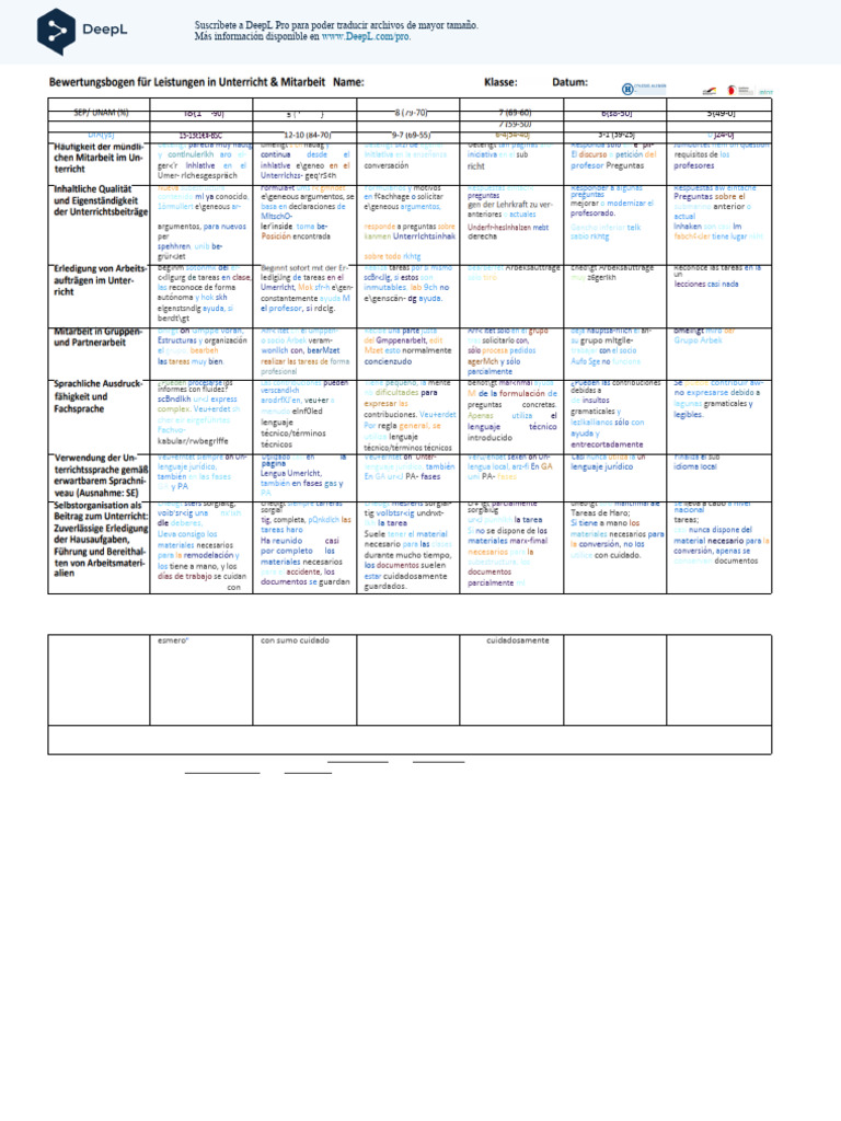 Beobachtungsbogen für SUS 1 Seite es | PDF
