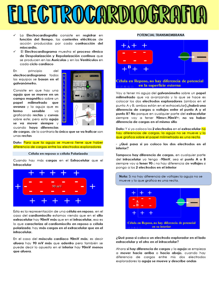 2 1 Electrocardiografía | PDF