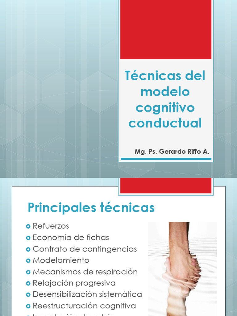 Tecnicas Cogn Conductual PDF | PDF