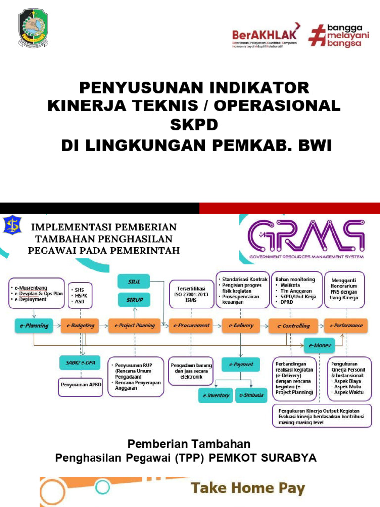 Optimalisasi TPP dan Indikator Kinerja SKPD | PDF