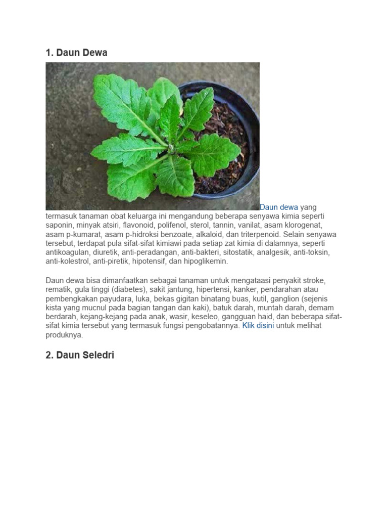 Nama Tanama Obat | PDF