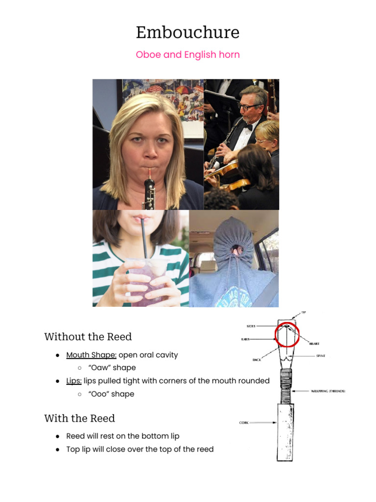 Oboe and English Horn Embouchure Guide | PDF | Cor Anglais | Oboe