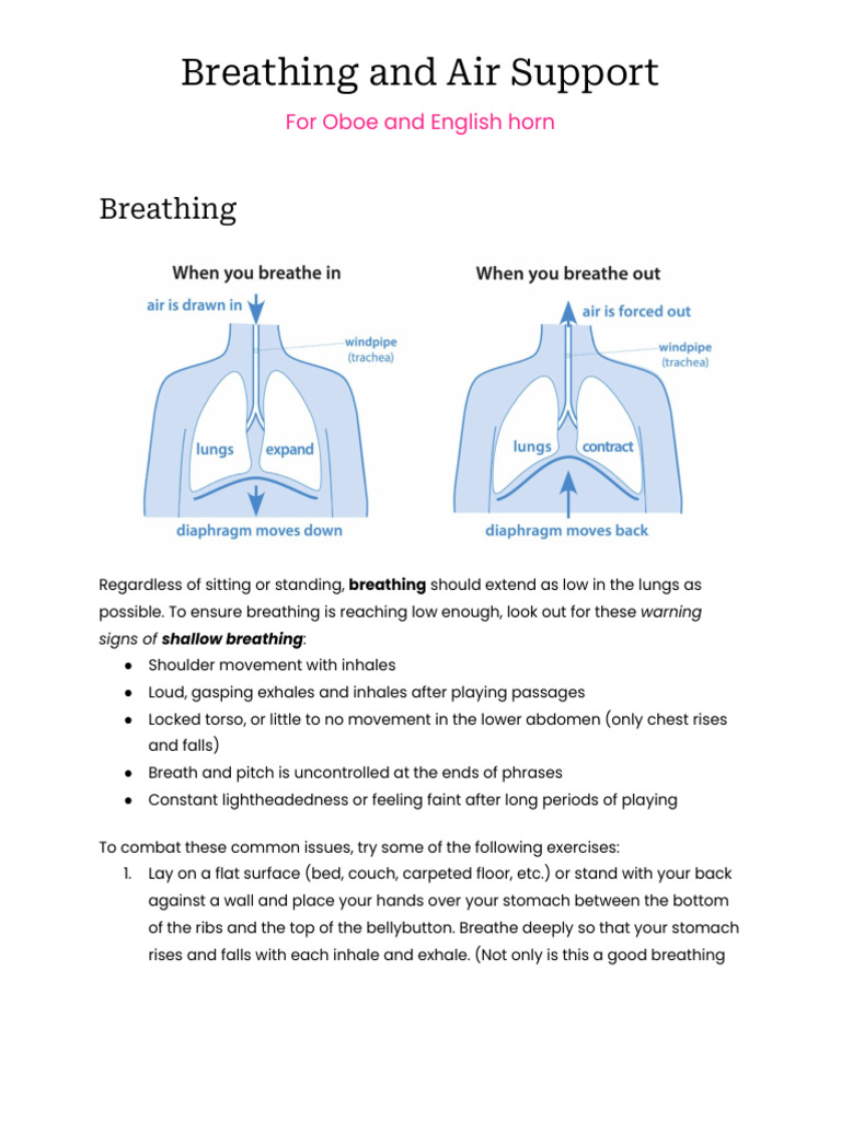 Breathing Techniques for Oboists | PDF | Breathing | Abdomen