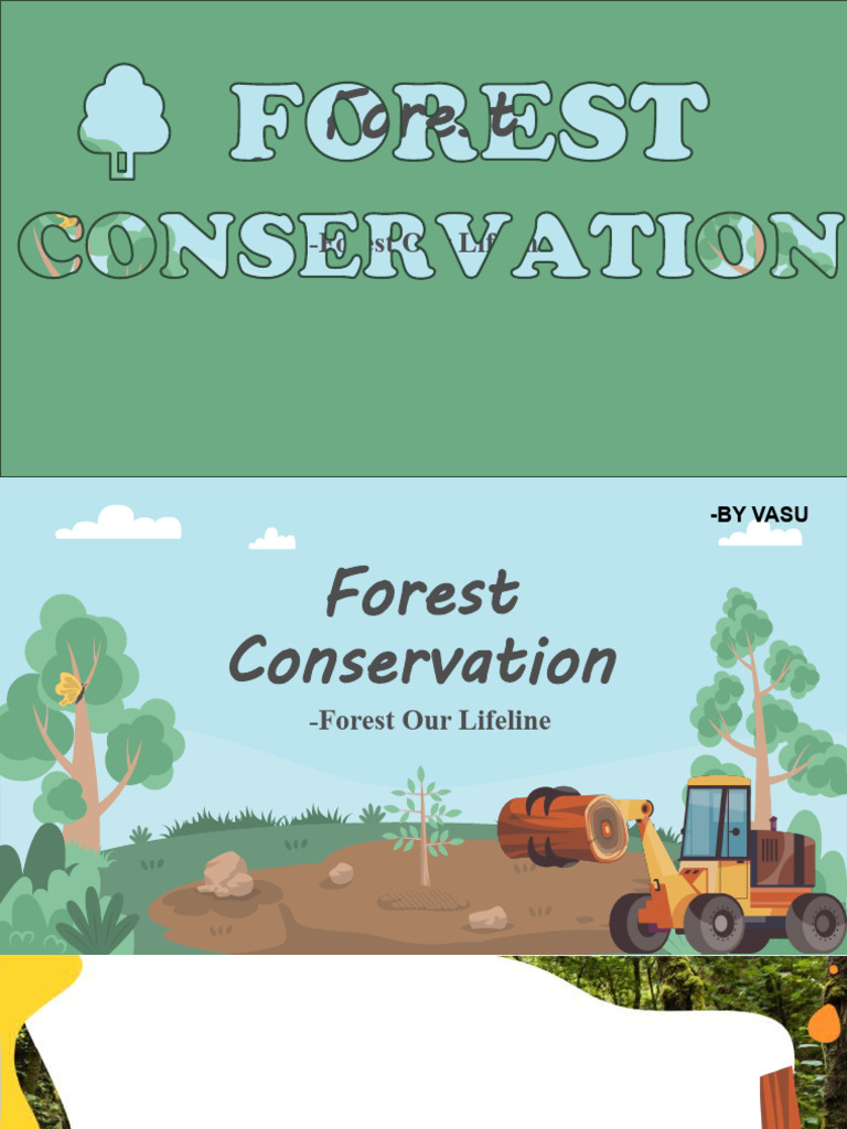 Forest Conservation: Our Lifeline | PDF | Deforestation | Soil