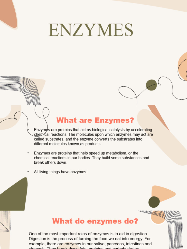 Enzymes | PDF | Enzyme | Cofactor (Biochemistry)