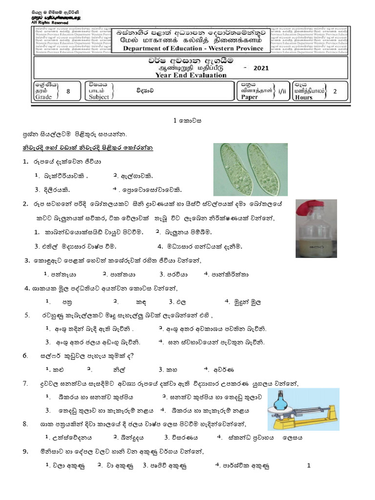 2021 3rd Science g8 SM | PDF