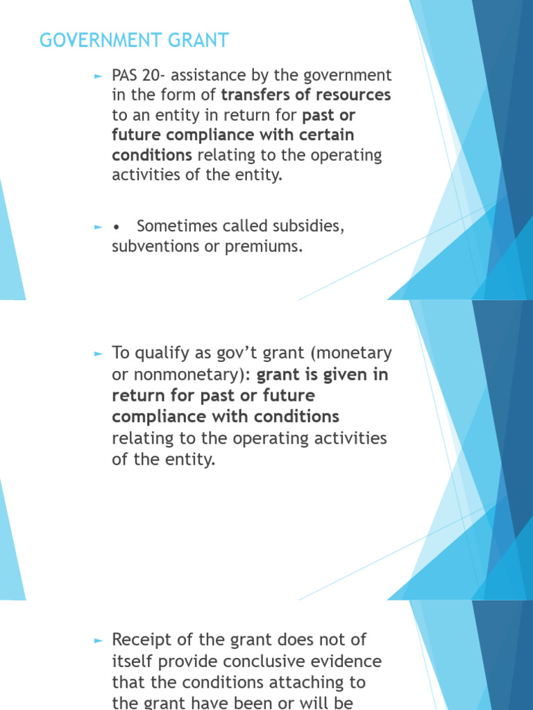 Government Grant | PDF