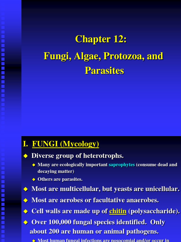 Fungi, Algae, Protozoa, and Parasites | PDF | Protozoa | Yeast
