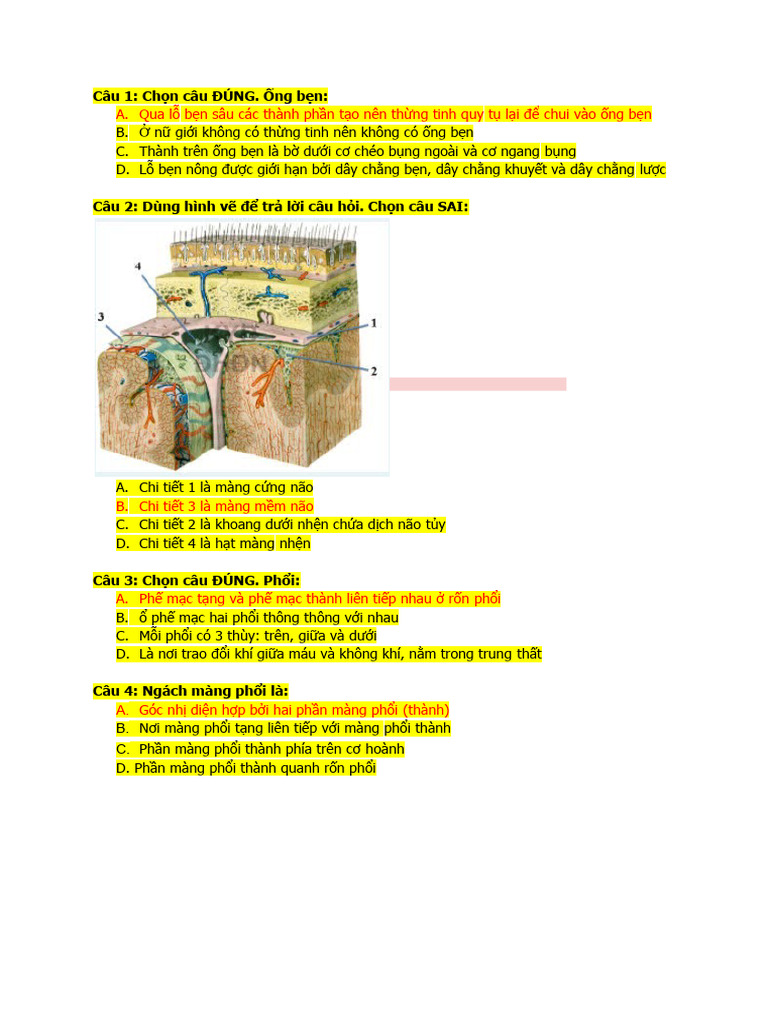 ĐỀ THI CUỐI KÌ GP2 2020 2021 | PDF