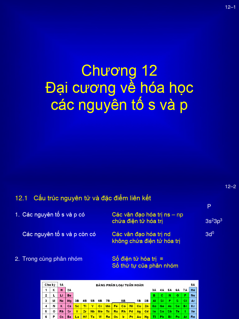 HVC1 Pro 2021 C12 | PDF