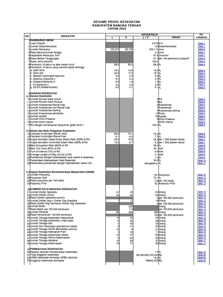 Lampiran Profil DINKES BATENG 2022 FIX. | PDF