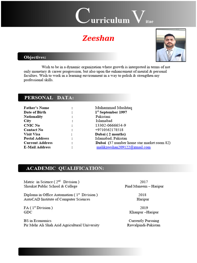 Zeeshan CV | PDF