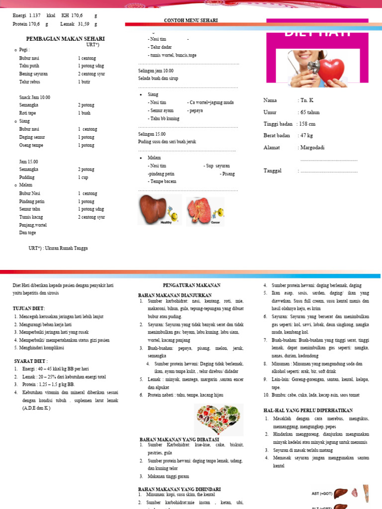 DIET-HATI Nur Aisah-1 | PDF
