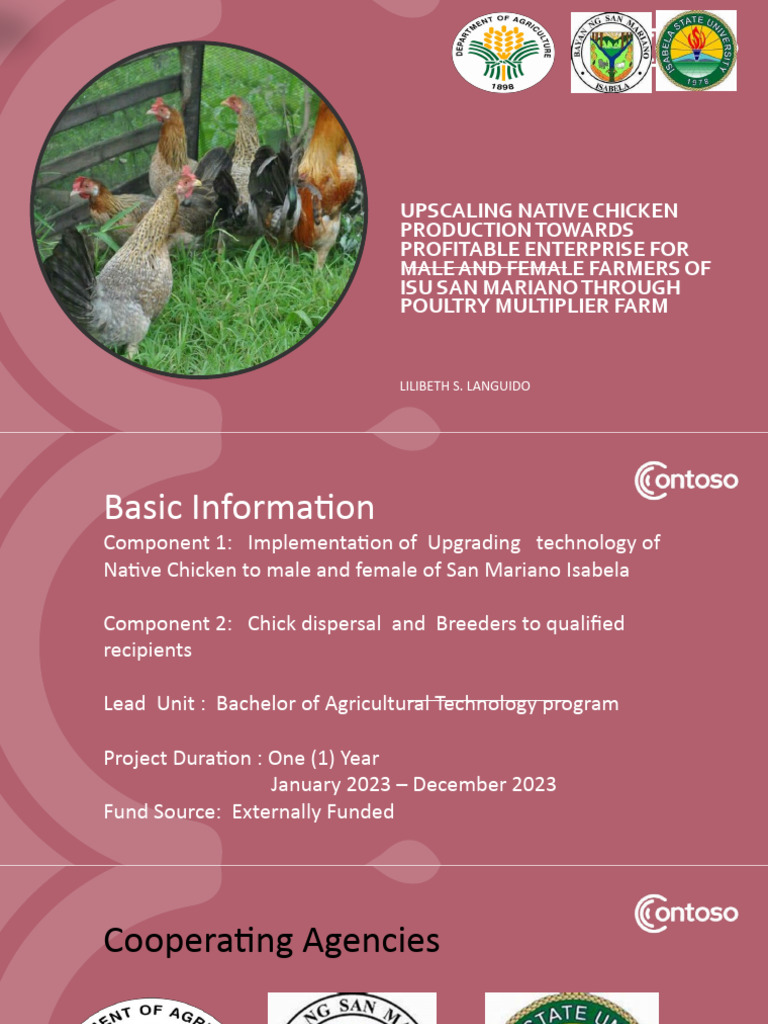 Upscalling Native Chicken | PDF