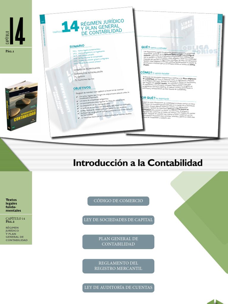 Presentacion CAPITULO 14 | PDF | Contabilidad | normas internacionales de INFORMACION FINANCIERA