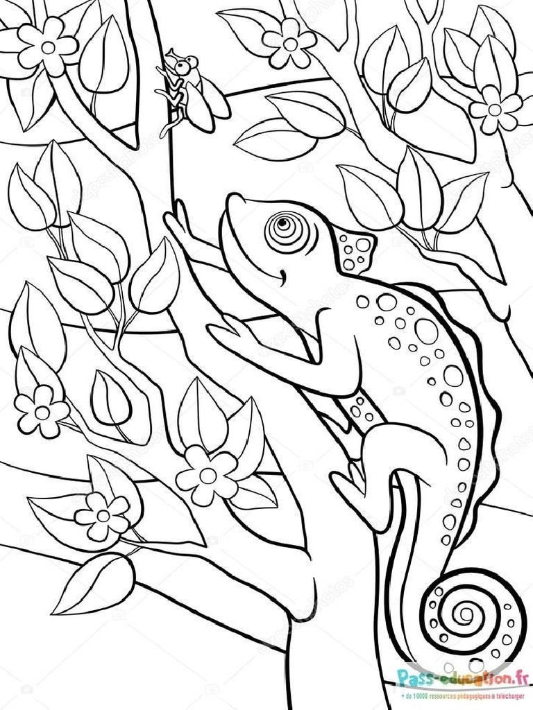 Coloriage Animaux Sauvages 50 PDF Gratuit A Imprimer | PDF