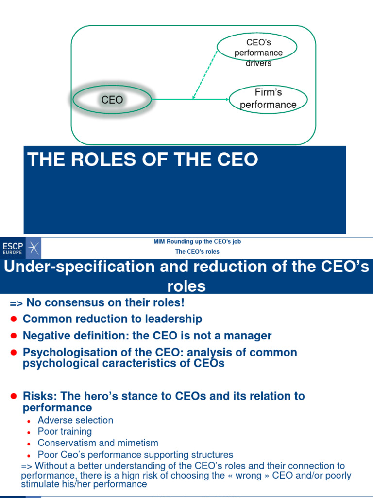 CEO Roles | PDF | Organizational Behavior | Business Economics