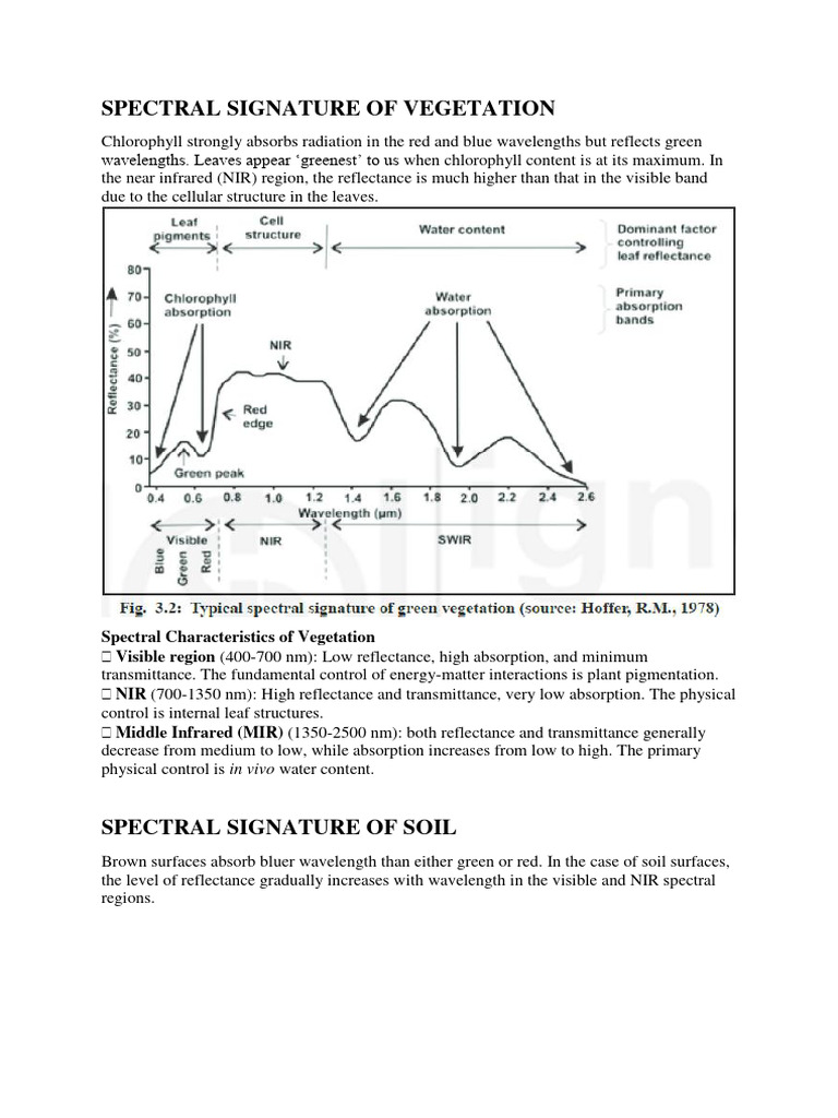 Spectral Signature of Vegetation | PDF