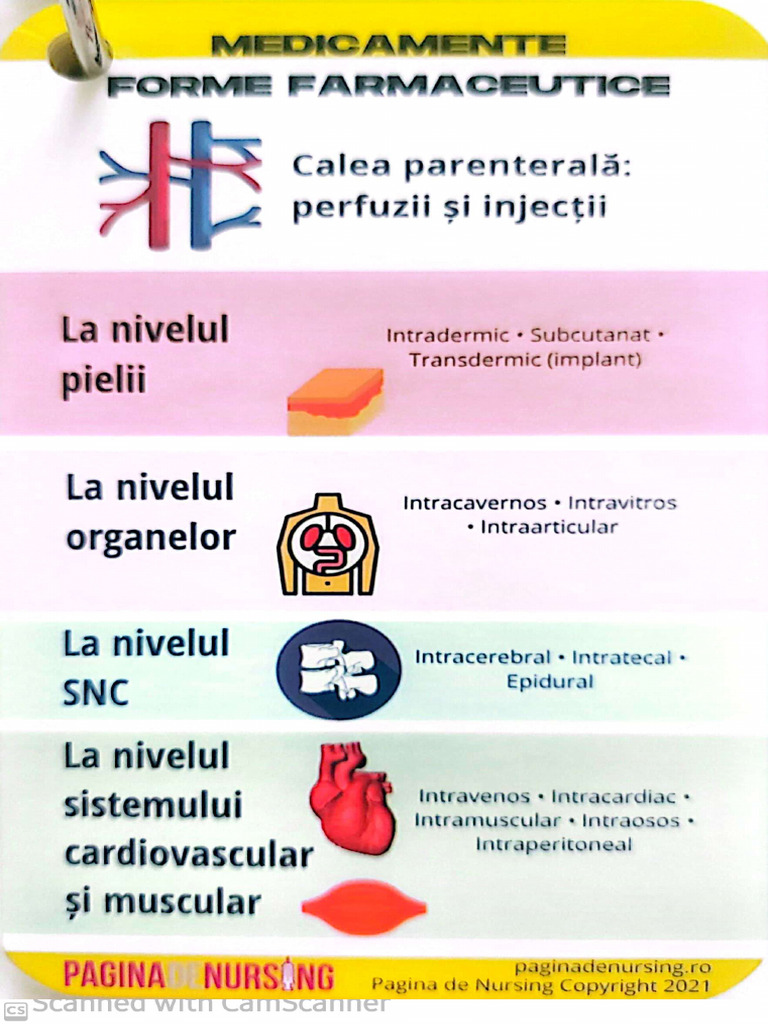 Medicamente Forme Farmaceutice | PDF
