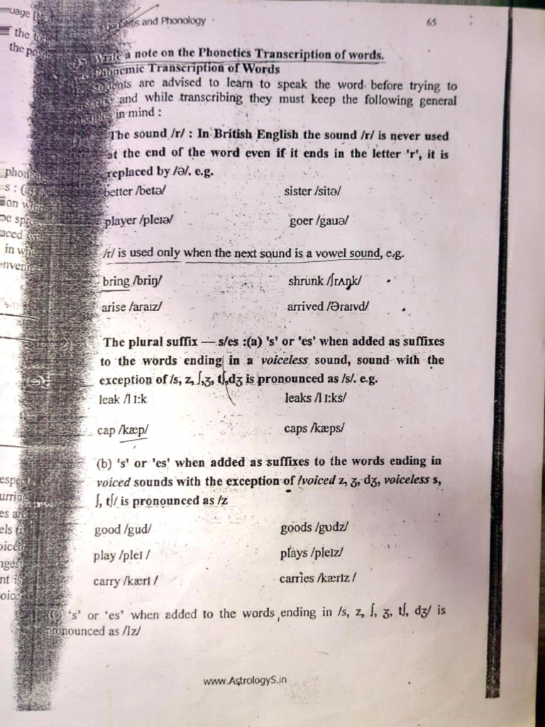 Phonetics Material | PDF | Word | Human Voice