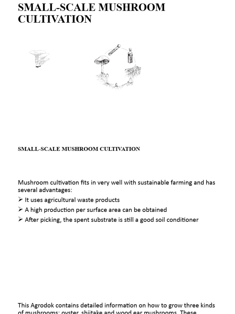 Small-Scale Mushroom Cultivation (Autosaved) | PDF | Fungus | Mushroom