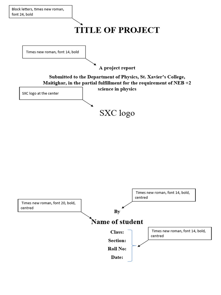 Project Format | PDF | Times New Roman