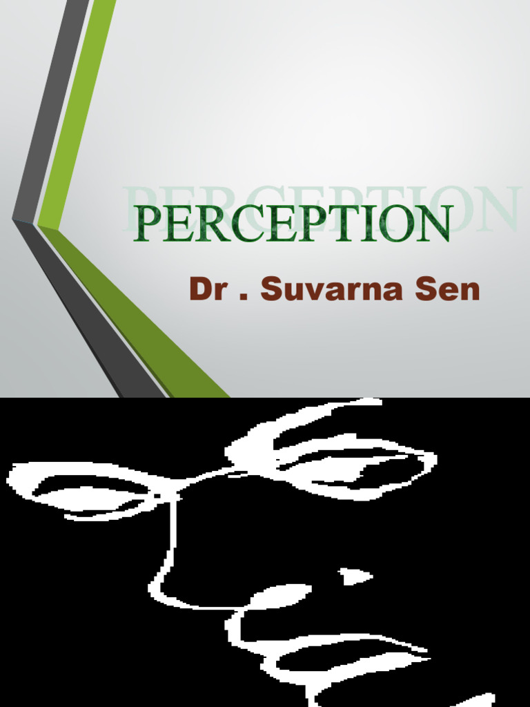 4. Perception | PDF | Perception | Bias