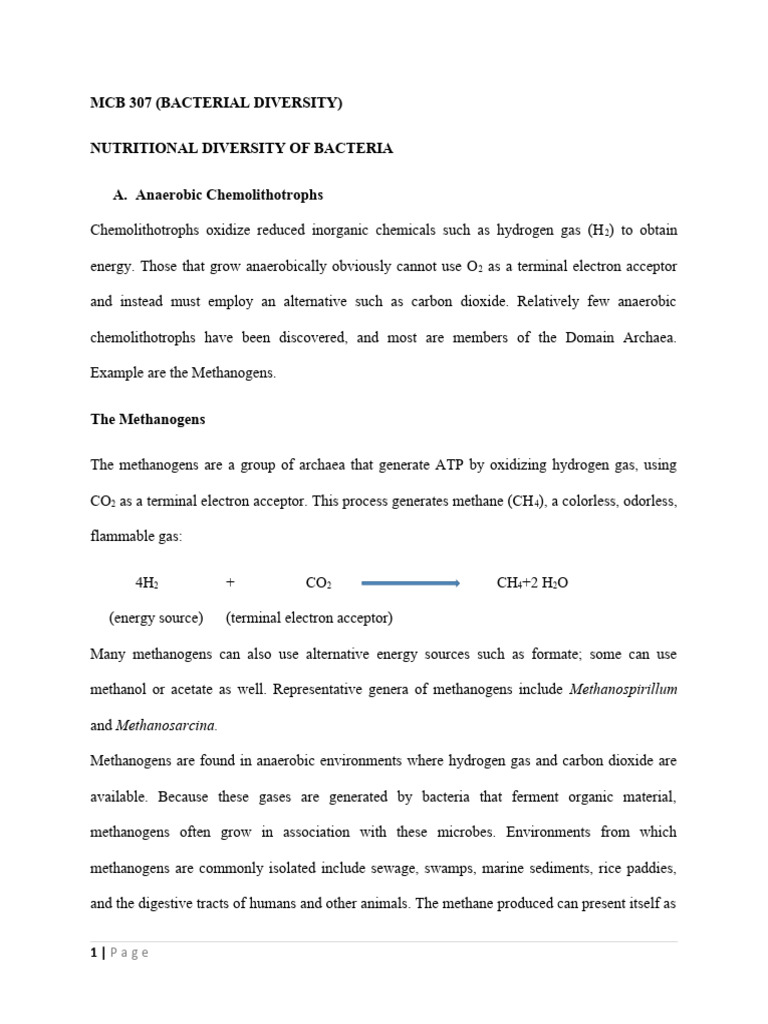 Bacterial Diversity - Nutritional Diversity | PDF | Cyanobacteria | Lactobacillus