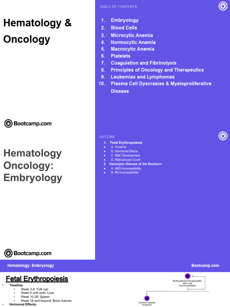 Hematology Overview: Blood Cell Disorders | PDF | Anemia | Blood Cell