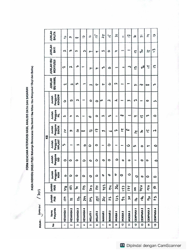 Form Rencana Intervensi Data Dan Sasaran 1 | PDF