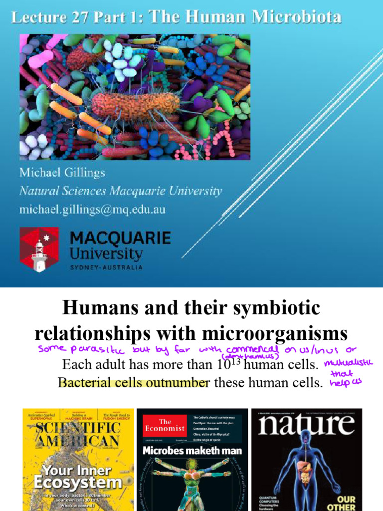 L27 Human Microbiota | PDF | Microbiota | Immune System