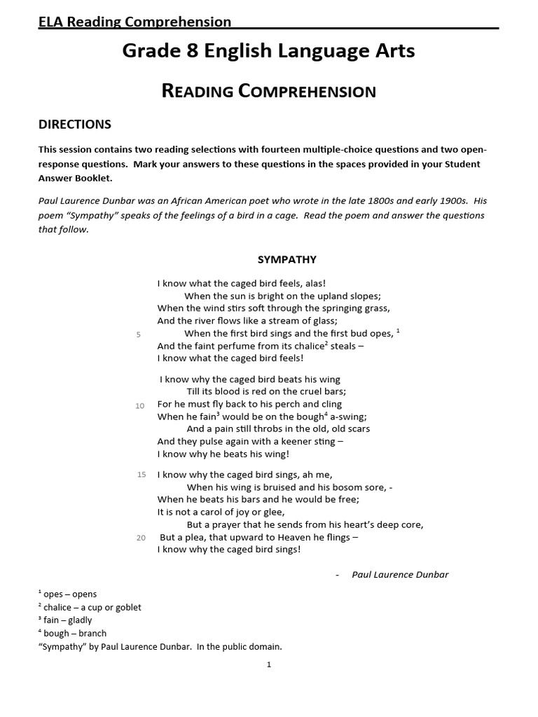 Grade 8 English Language Arts - Reading Comprehension | PDF