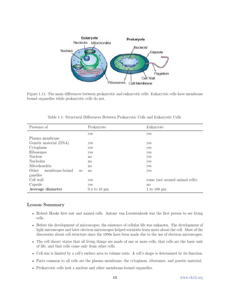CHAPTER1 - CellBiology 3 | PDF | Computers