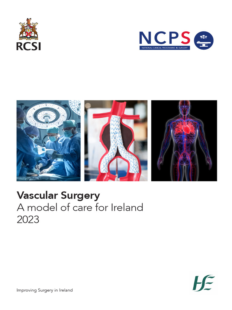 Vascular Surgery A Model of Care For Ireland 2023 | Download Free PDF ...