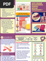 Leaflet Kolesterol Ok | PDF
