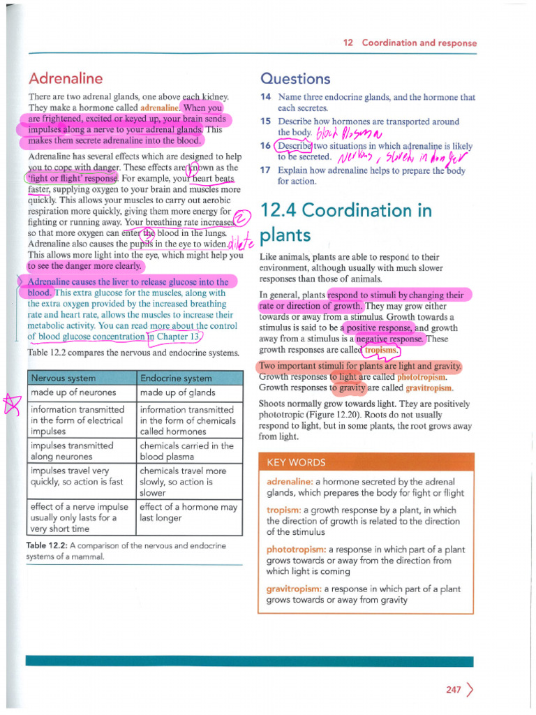Cambridge IGCSE Biology MARRY JONES 4th Edition | PDF