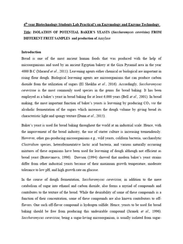 4th Year Biotech Students Lab Practicals on Enzyme Technology | PDF ...