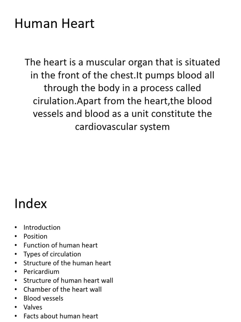 Overview of the Human Heart | PDF | Heart | Atrium (Heart)
