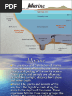 Overview of Marine Provinces | PDF | Oceans | Littoral Zone