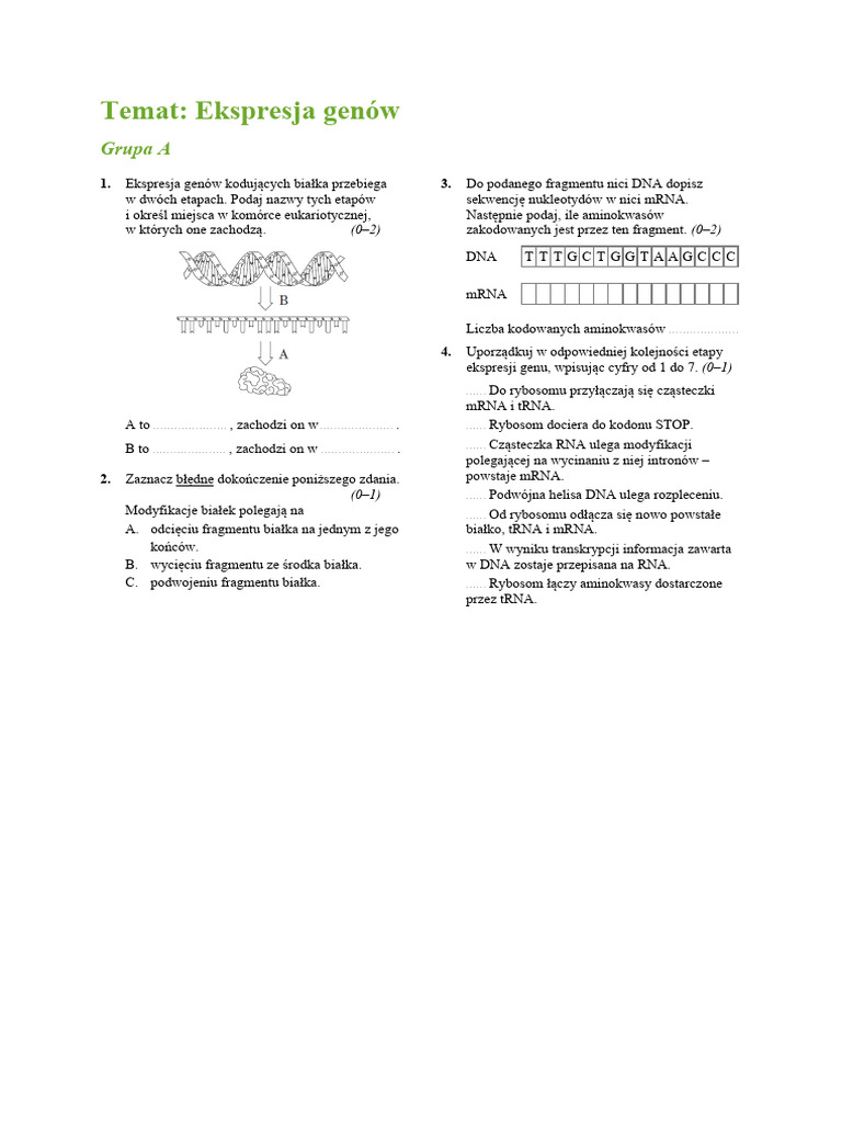 Kartkowka 3 Ekspresja Genow | PDF