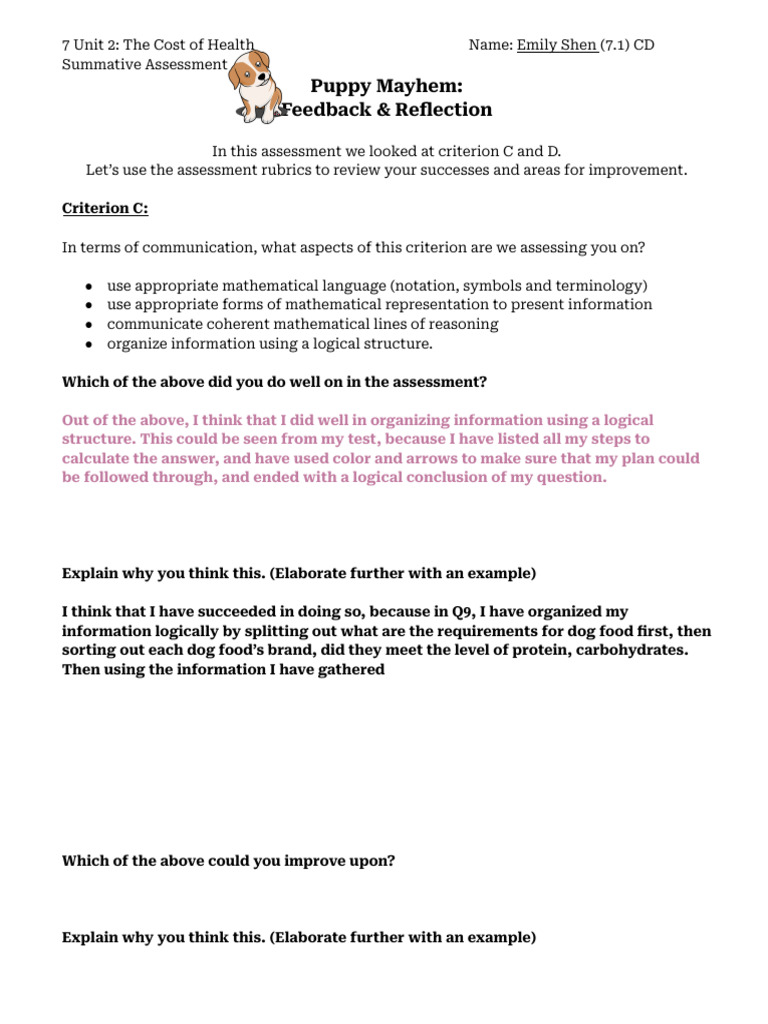 Math Assessment Reflection & Feedback | PDF | Computers