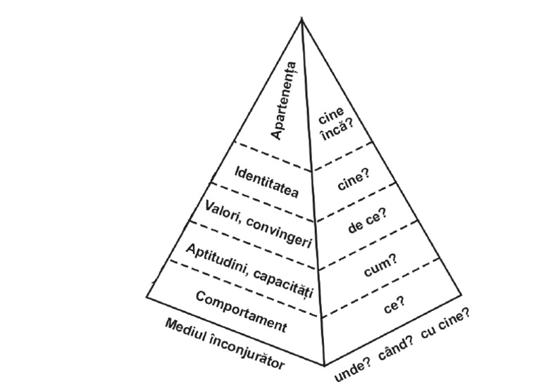 Piramida-Nivelurilor-Neurologice | PDF