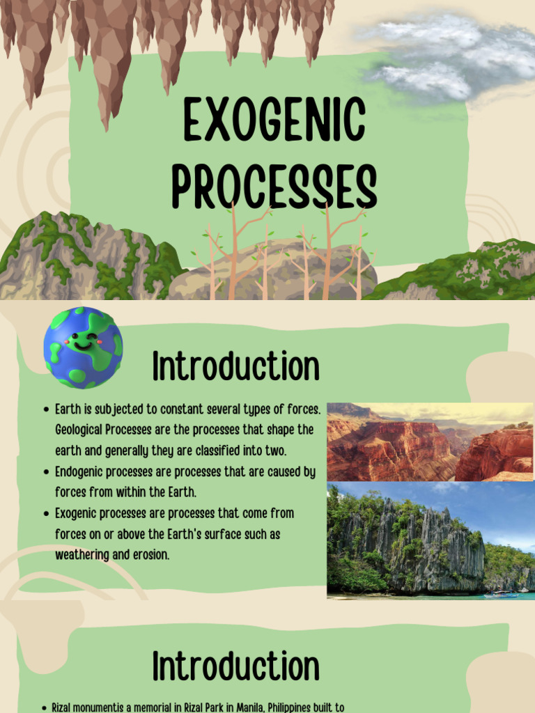 Exogenic Processes | Download Free PDF | Erosion | Coast