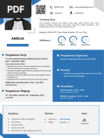 Portofolio Data Entry Aulia Afiana | PDF