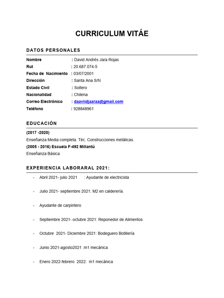 Curriculum David Jara 38 | PDF