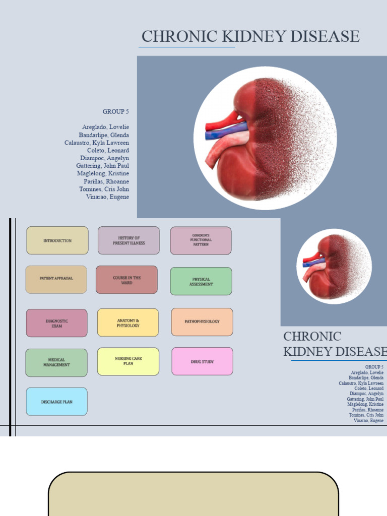 Chronic Kidney Disease | PDF | Chronic Kidney Disease | Anemia