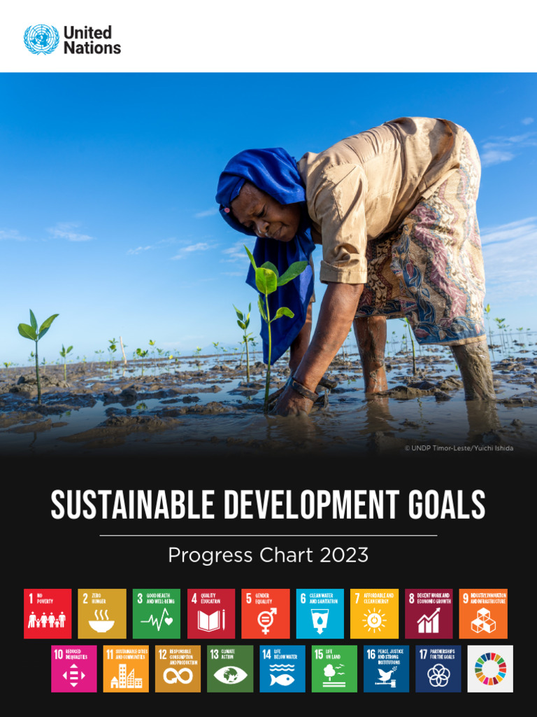 2023 SDG Progress Overview Chart | PDF | Sustainability | Infrastructure