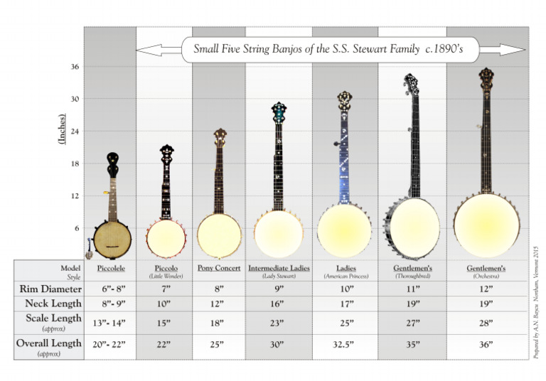 Banjo Family Sizes 1 | PDF